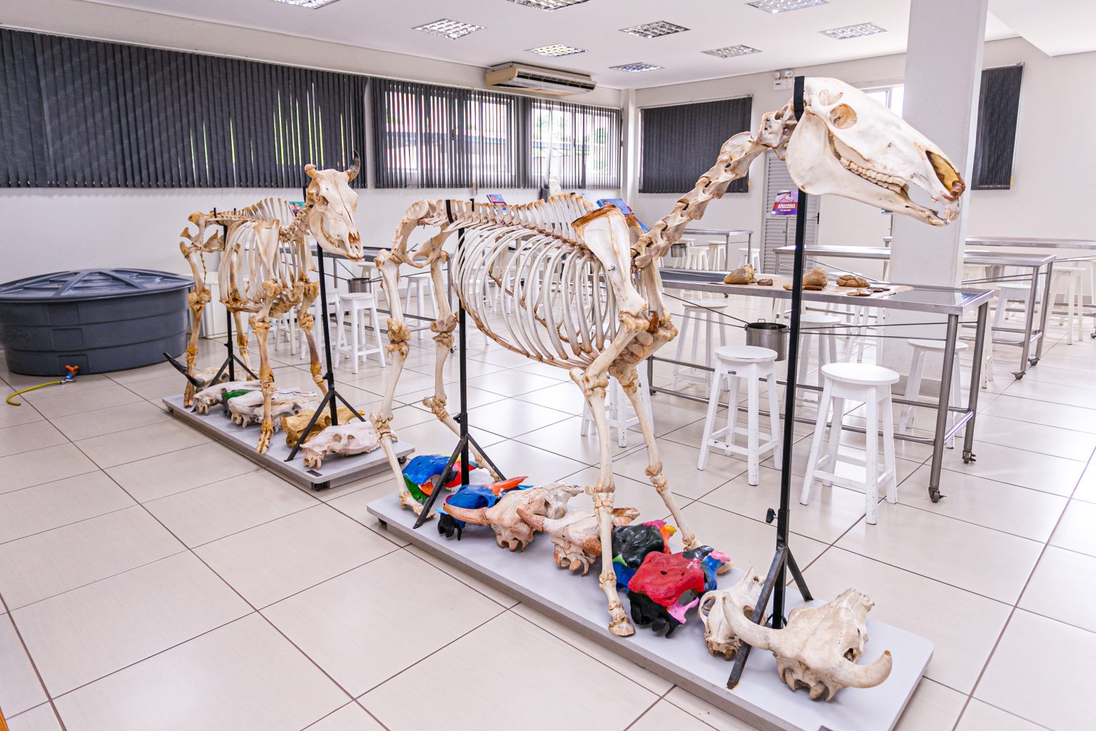 Laboratórios de Anatomia - Uningá