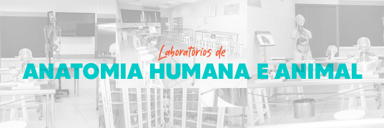 Laboratórios de Anatomia - Uningá